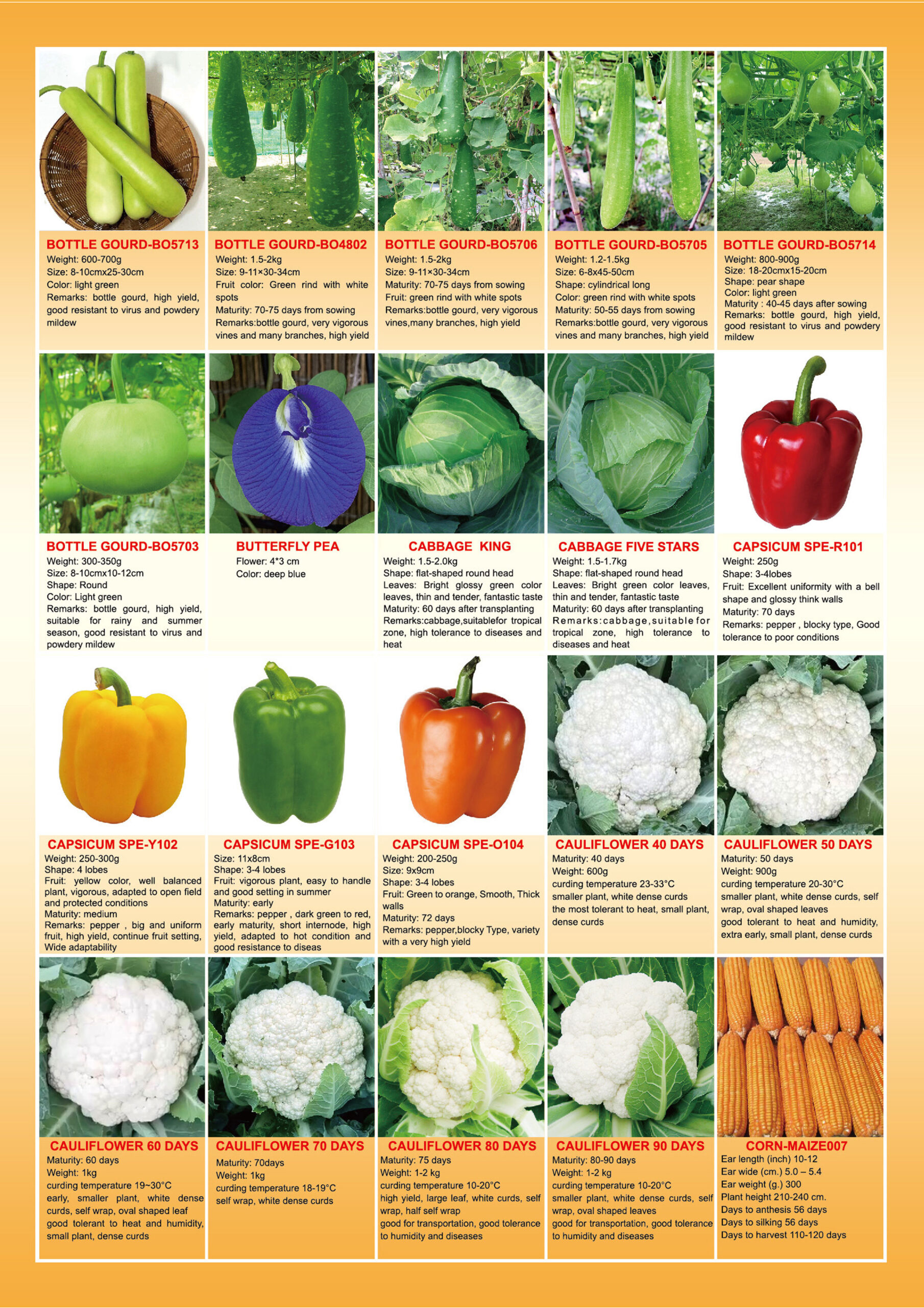 catalog1 – LION SEEDS CO., LTD.